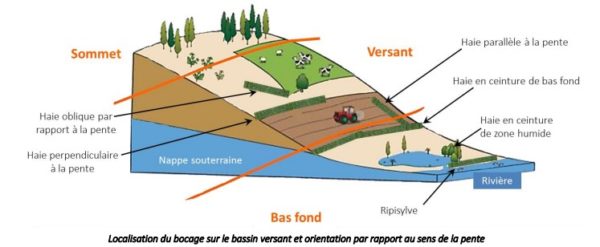 Cheminement de l’eau et planification urbaine - EPTB Charente